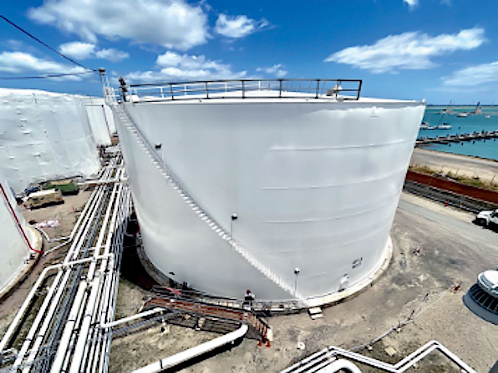 Hawaiʻi's 2024 Painting Leaders - Building Industry Hawaii